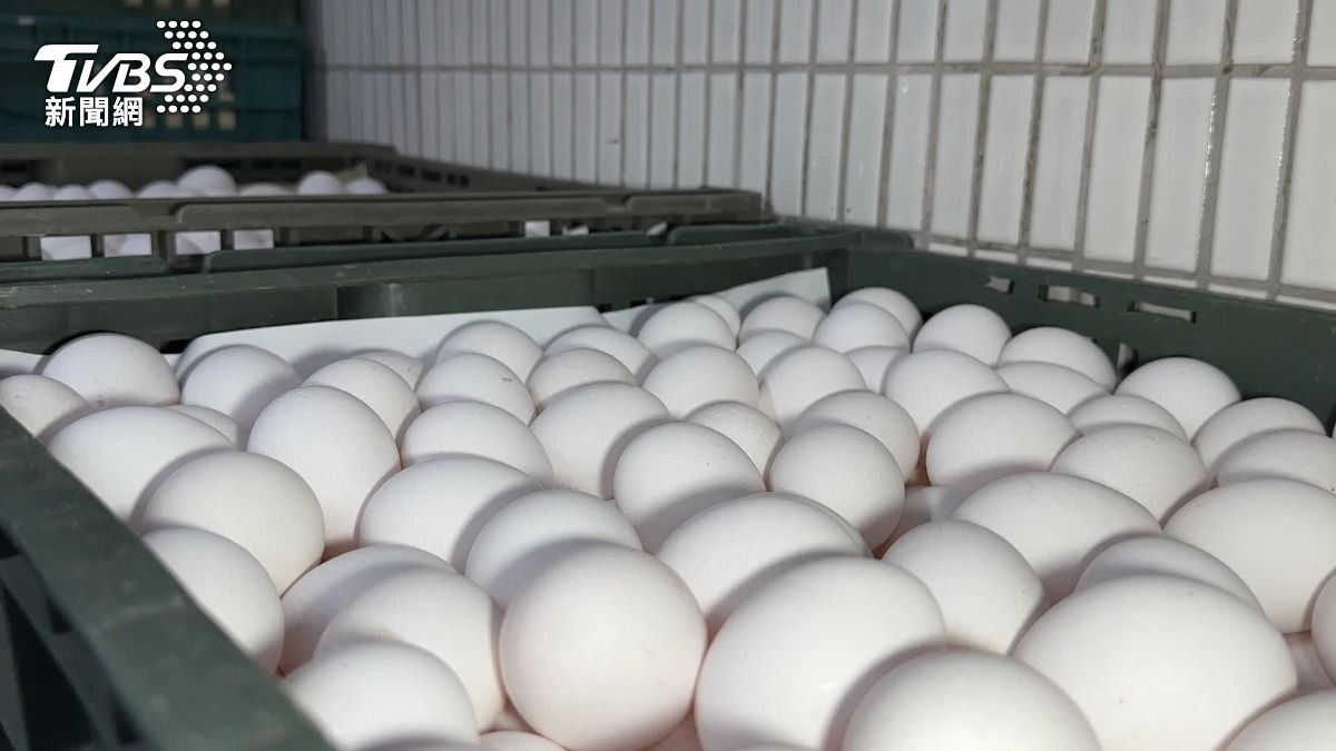 新北也淪陷！問題蛋流入早餐店 「4600顆」恐吃下肚│TVBS新聞網