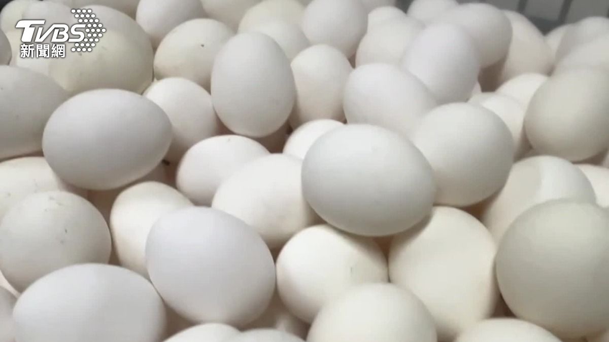 新北也淪陷！問題蛋流入早餐店 「4600顆」恐吃下肚│TVBS新聞網