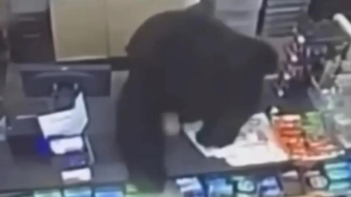 美童遭大黑熊狂追牠跳上收銀台！ 驚險逃脫喊「我差點被吃掉」│TVBS新聞網