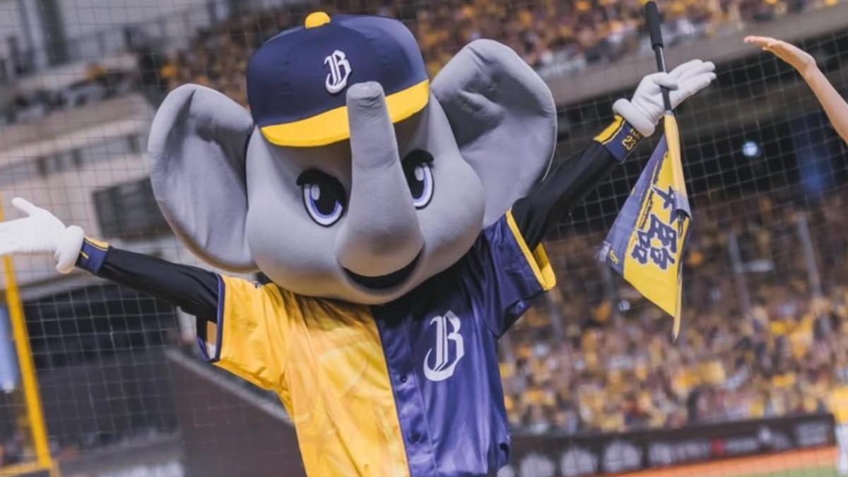 球場最萌吉祥物！職籃、職棒Top5曝光 「萊恩」竟只排第五│TVBS新聞網