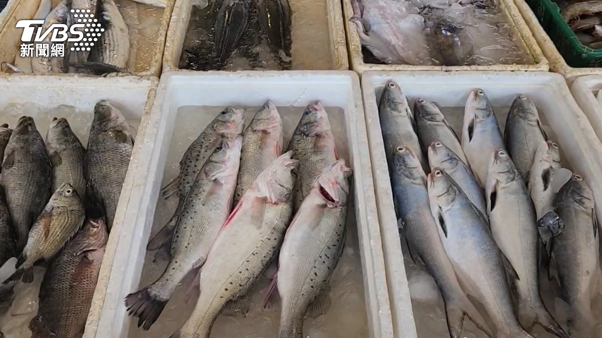 烏魚季報到！父子12天捕7400尾 賺200萬年終獎金│TVBS新聞網