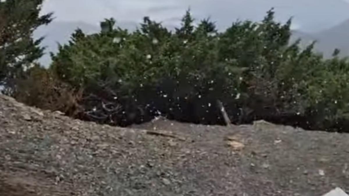 快訊／玉山降初雪了！氣象觀測站錄下「雪花飄落」持續30分鐘│TVBS新聞網