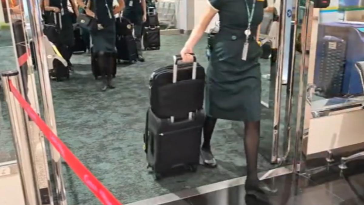 「長榮空服猝逝」調查出爐 勞動部：涉違勞基法│TVBS新聞網