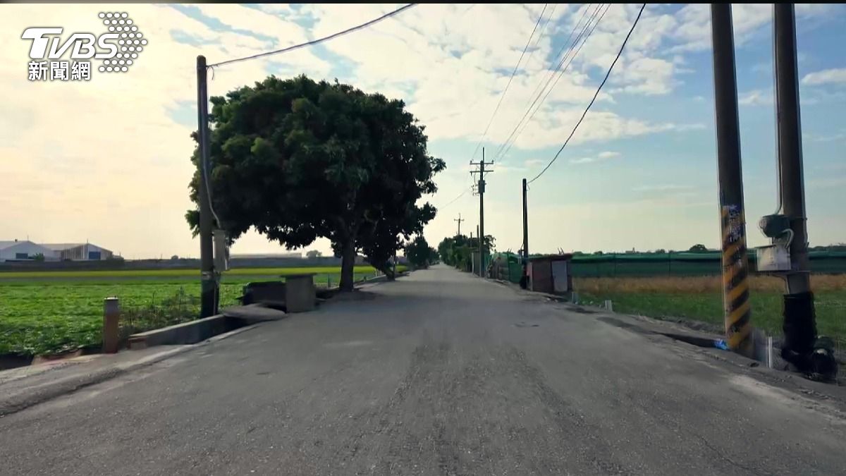 台灣農地如夢幻北海道！雲林彩色拼圖「從空中俯瞰」嘆為觀止│TVBS新聞網
