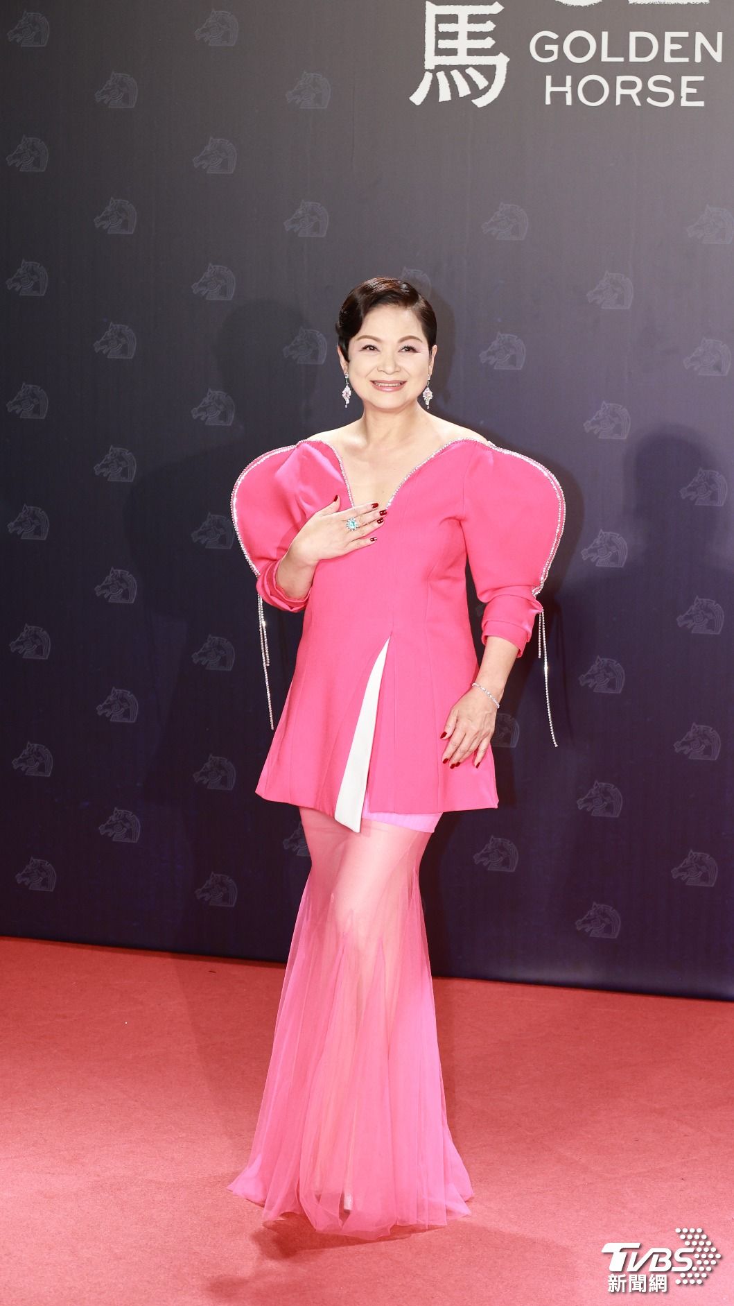 金馬62／楊貴媚登紅毯「霸氣輾壓」！ 薄紗長裙透出鉛筆腿│TVBS新聞網