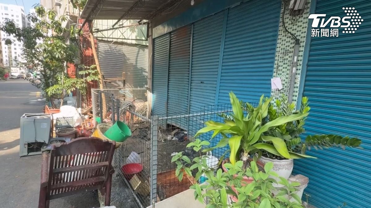 養約20隻狗作伴…獨居翁猝死多日 犬隻疑「啃食遺體」│TVBS新聞網