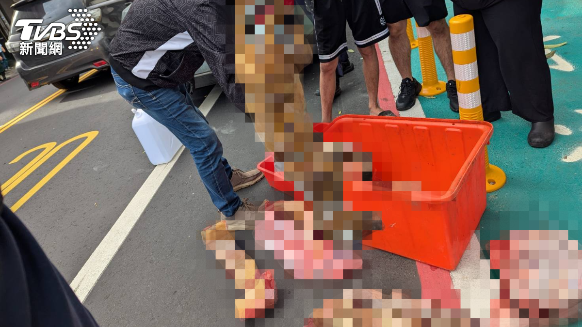 越南移工涉非法販售動物肉 狗肉、白鼻心都有│TVBS新聞網