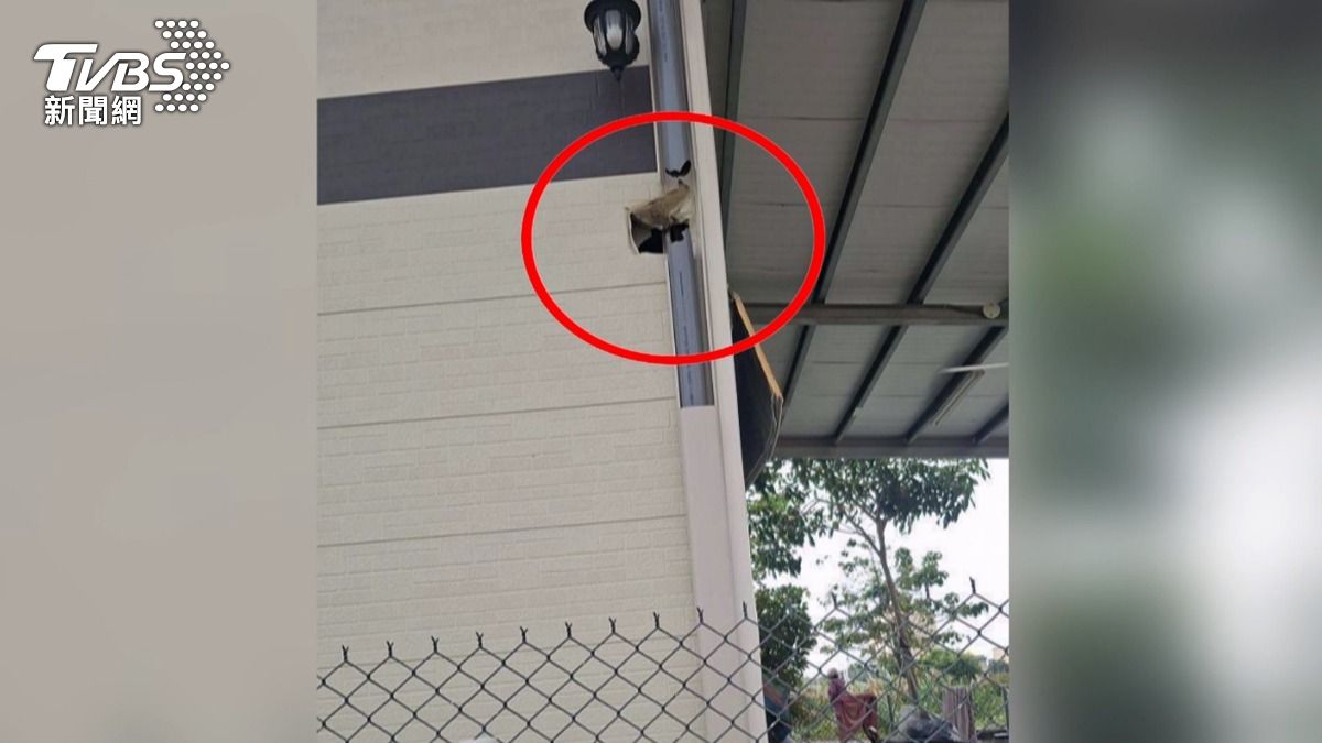 軍事演習驚魂！155公厘榴彈飛出射區「撞斷樹」 擊中3民宅居民嚇壞│TVBS新聞網