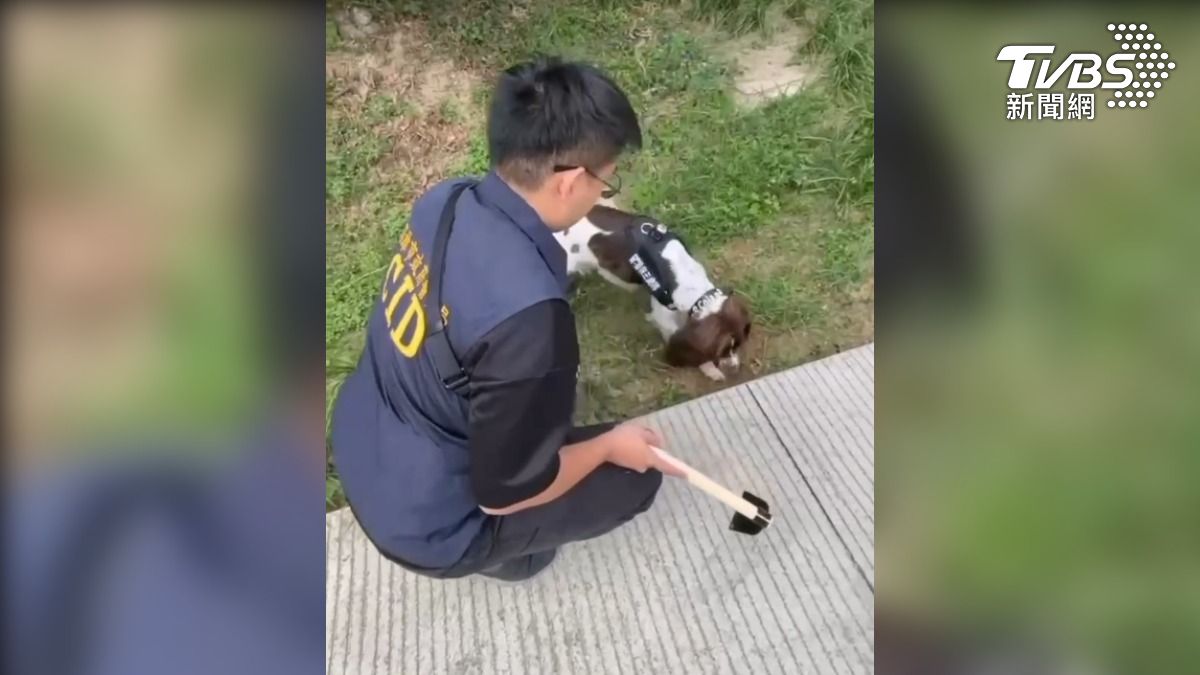 汪汪隊立大功！ 毒販「毒藏土內」 牠嗅出加碼幫挖土│TVBS新聞網