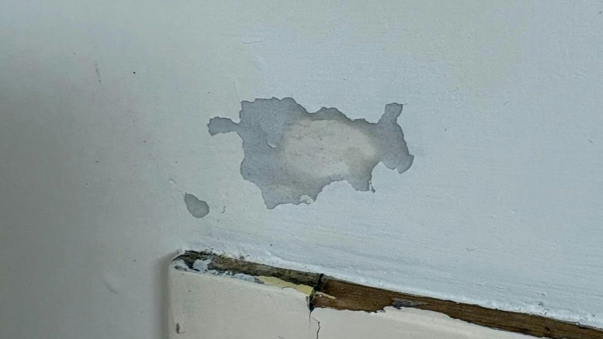 恐怖慎入！搬新居半月驚見「15隻蟑螂集結」 專家揭驚人真相│TVBS新聞網