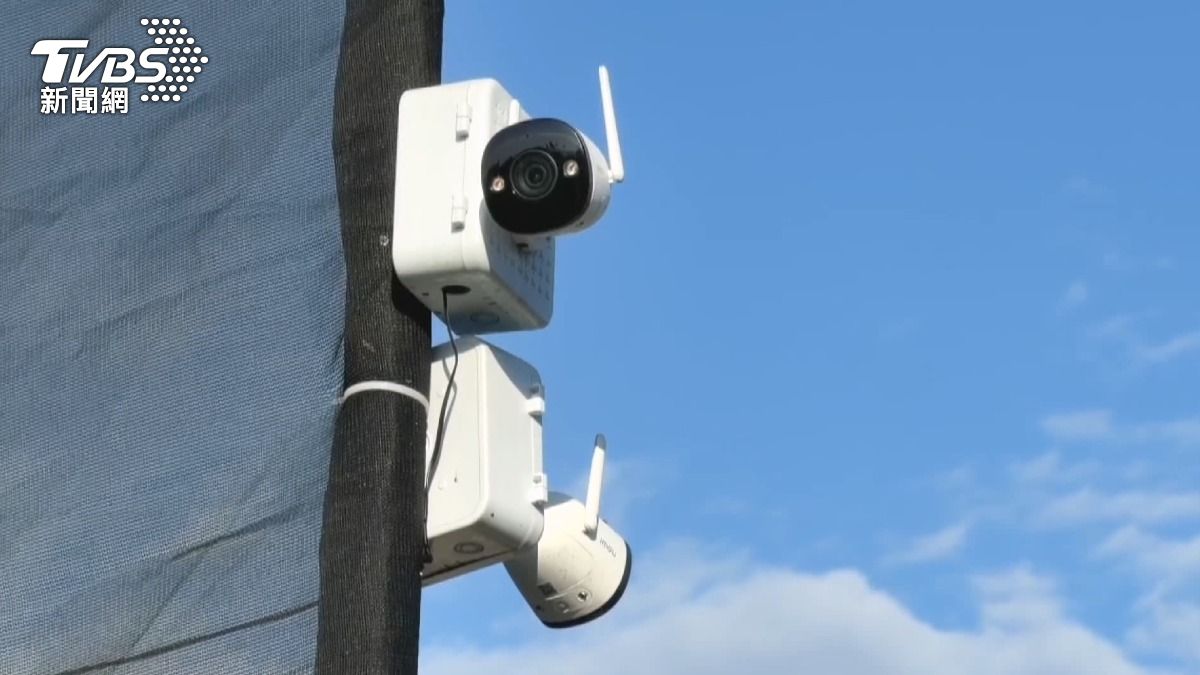 芭樂飆到每公斤百元！彰化果園連遭竊 農民自架監視器「抓到了」│TVBS新聞網