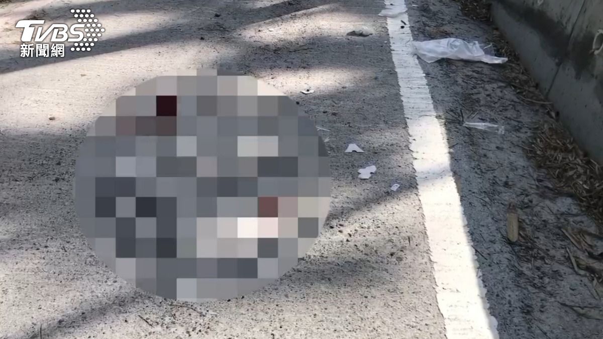 獵槍走火釀死！花蓮警休假打獵「槍上膛未放妥」 好友右胸中彈亡│TVBS新聞網