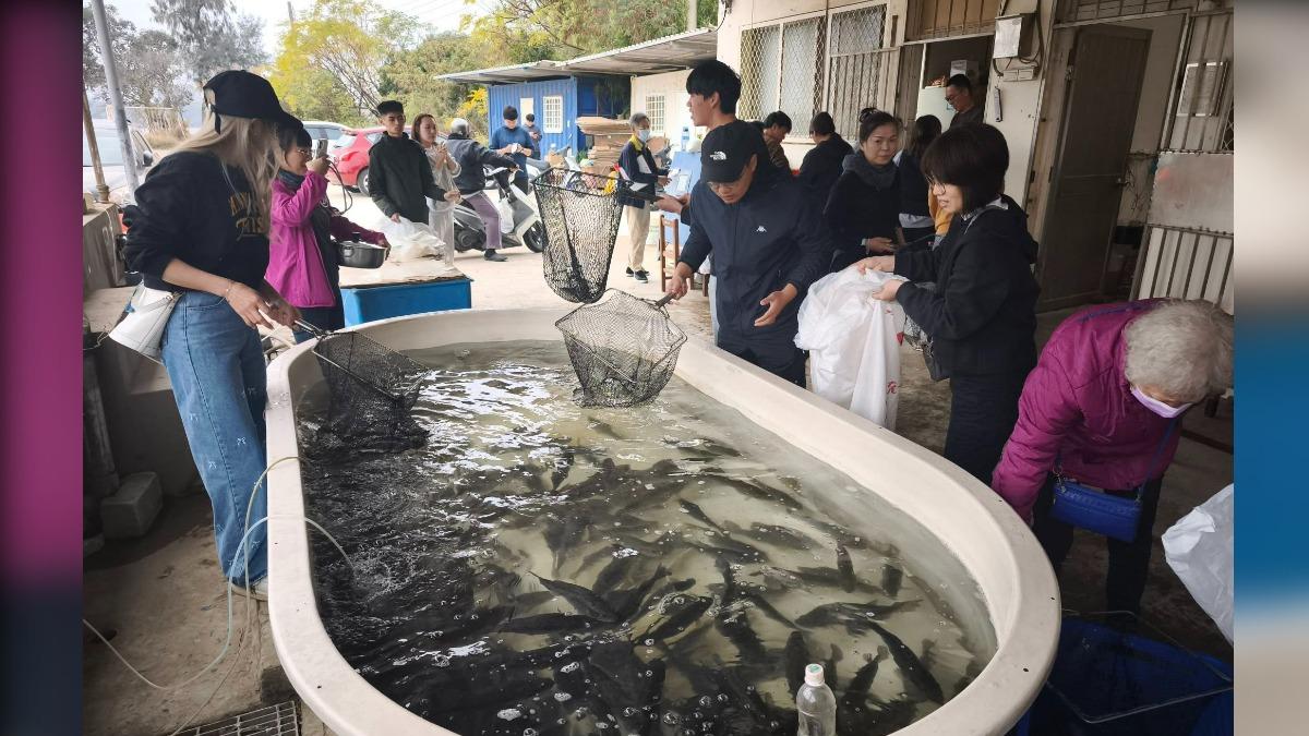 尚青ㄟ鱸魚現撈最對味 金門農工開賣10分鐘600尾被掃光│TVBS新聞網