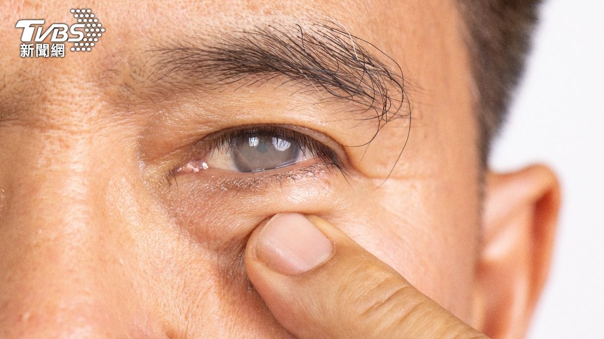 即時新聞│TVBS新聞網