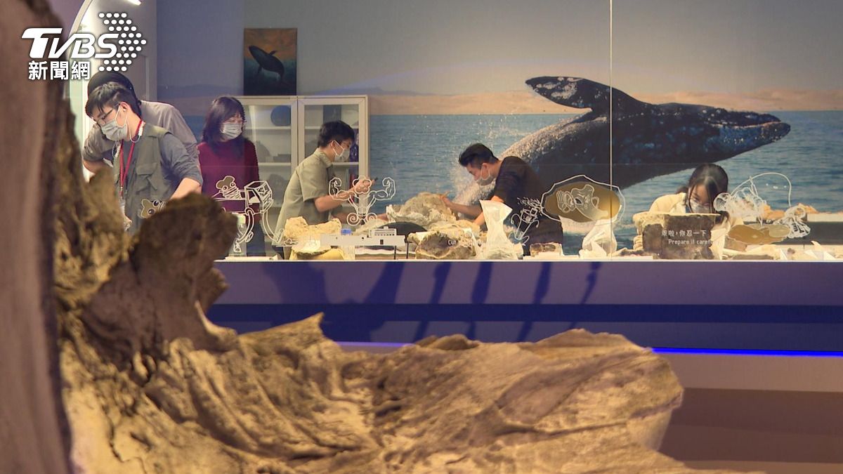 科博館「鯨掘」特展白板插圖爆紅 點閱破40萬還登公車站│TVBS新聞網