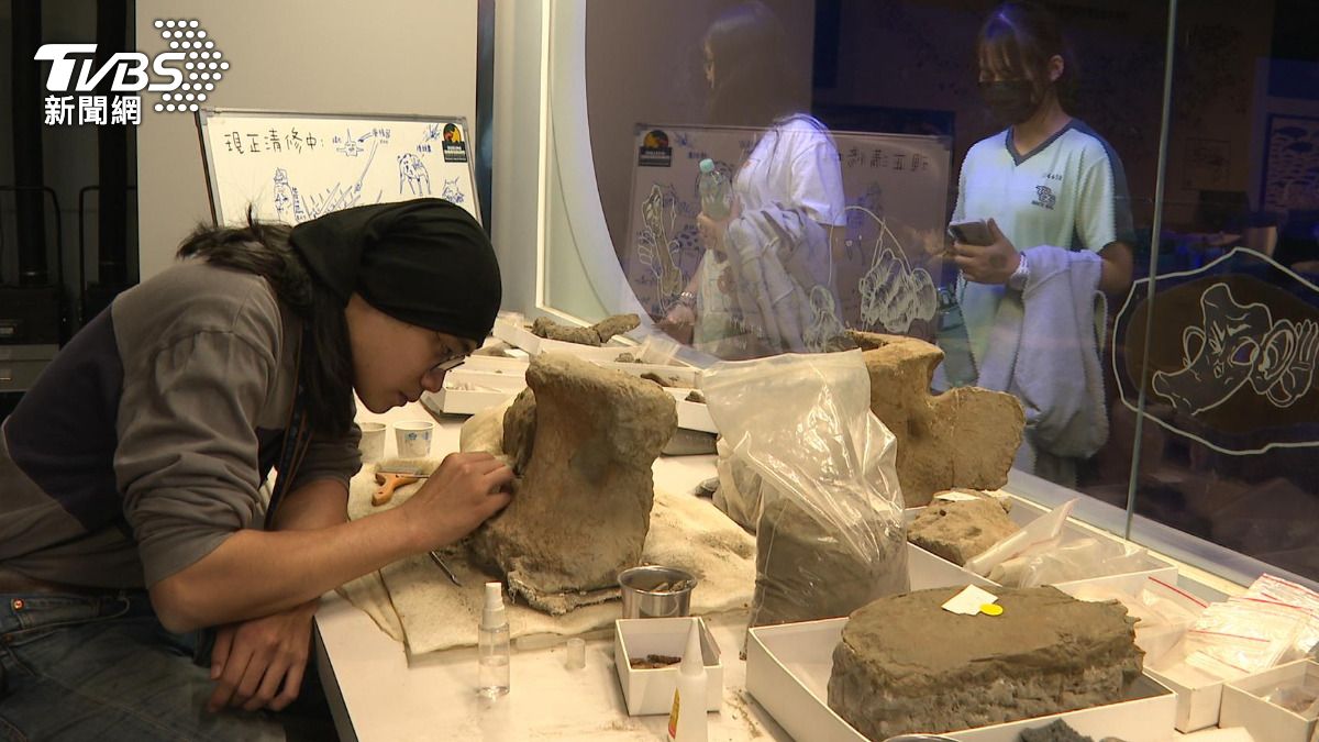 科博館「鯨掘」特展白板插圖爆紅 點閱破40萬還登公車站│TVBS新聞網