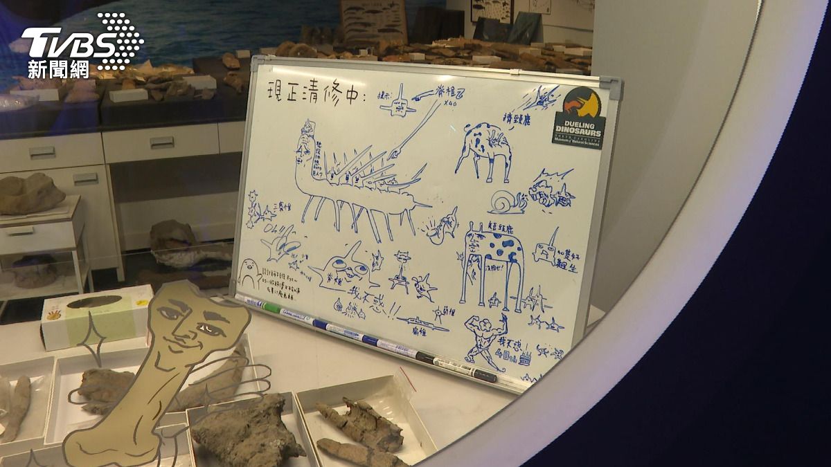 科博館「鯨掘」特展白板插圖爆紅 點閱破40萬還登公車站│TVBS新聞網