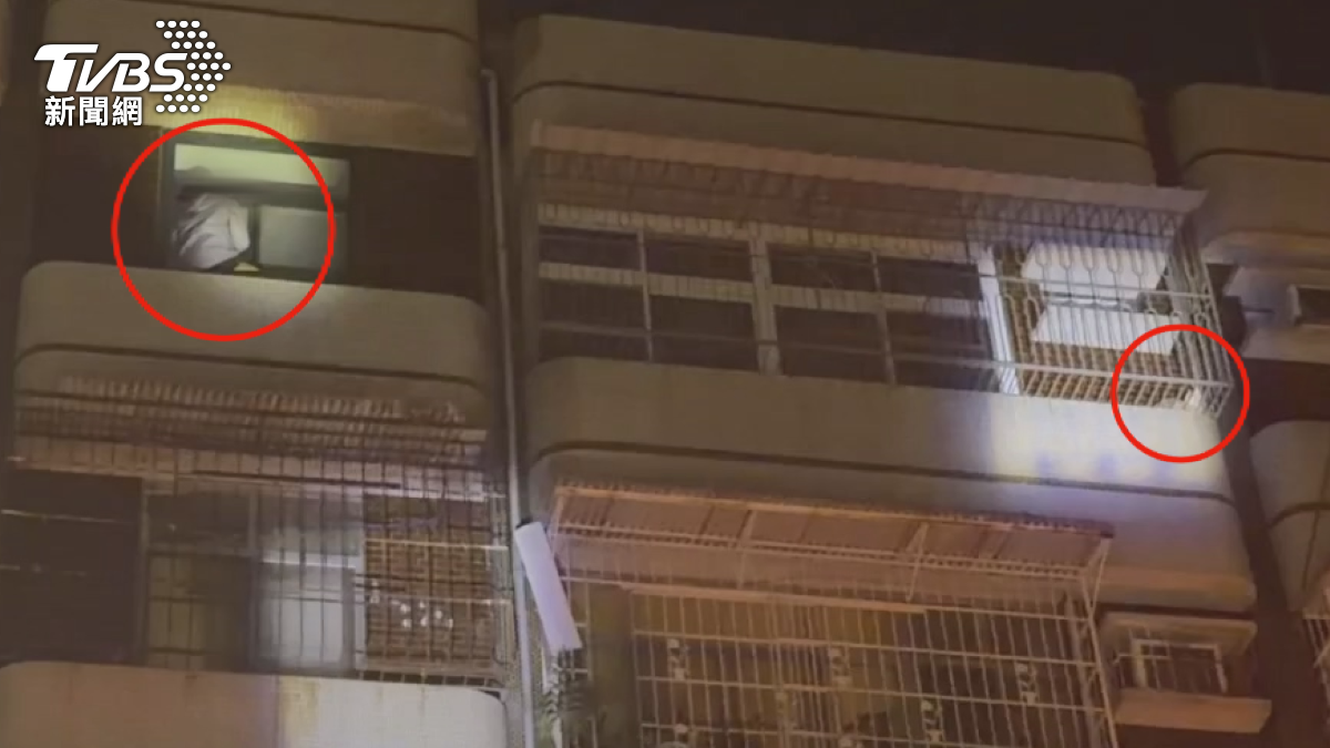 6貓趁主人不在開趴？疑誤觸電磁爐起火 嚇到躲鄰宅│TVBS新聞網