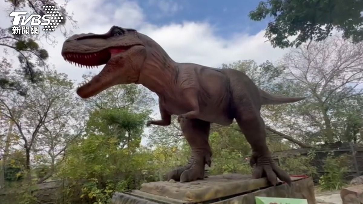 寒假衝了！小人國「名字有這22字」免費入園 假日人潮破萬│TVBS新聞網