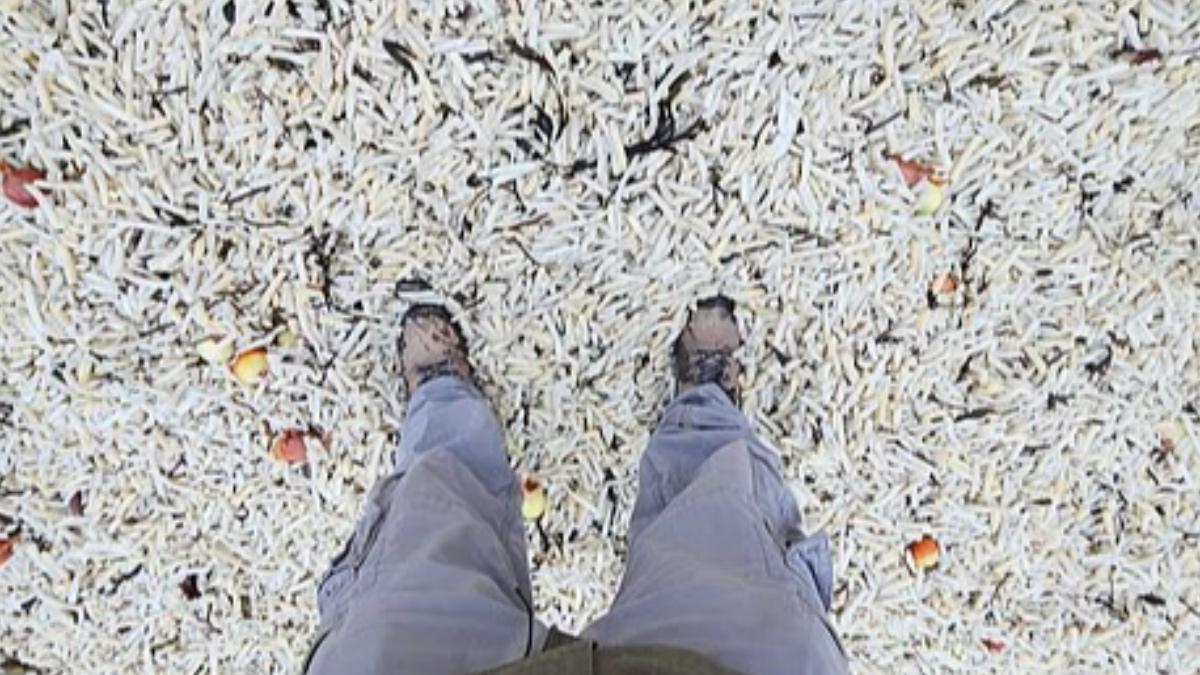 強風吹落20貨櫃！英海灘驚見「薯條海」 堆疊達60公分│TVBS新聞網