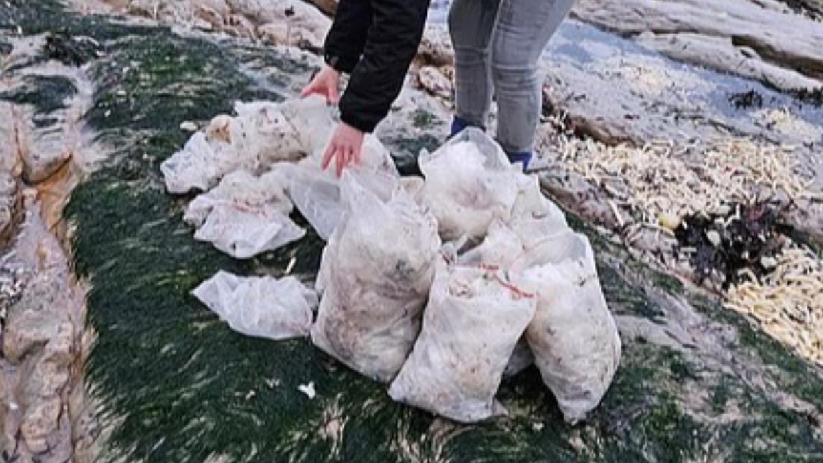 強風吹落20貨櫃！英海灘驚見「薯條海」 堆疊達60公分│TVBS新聞網