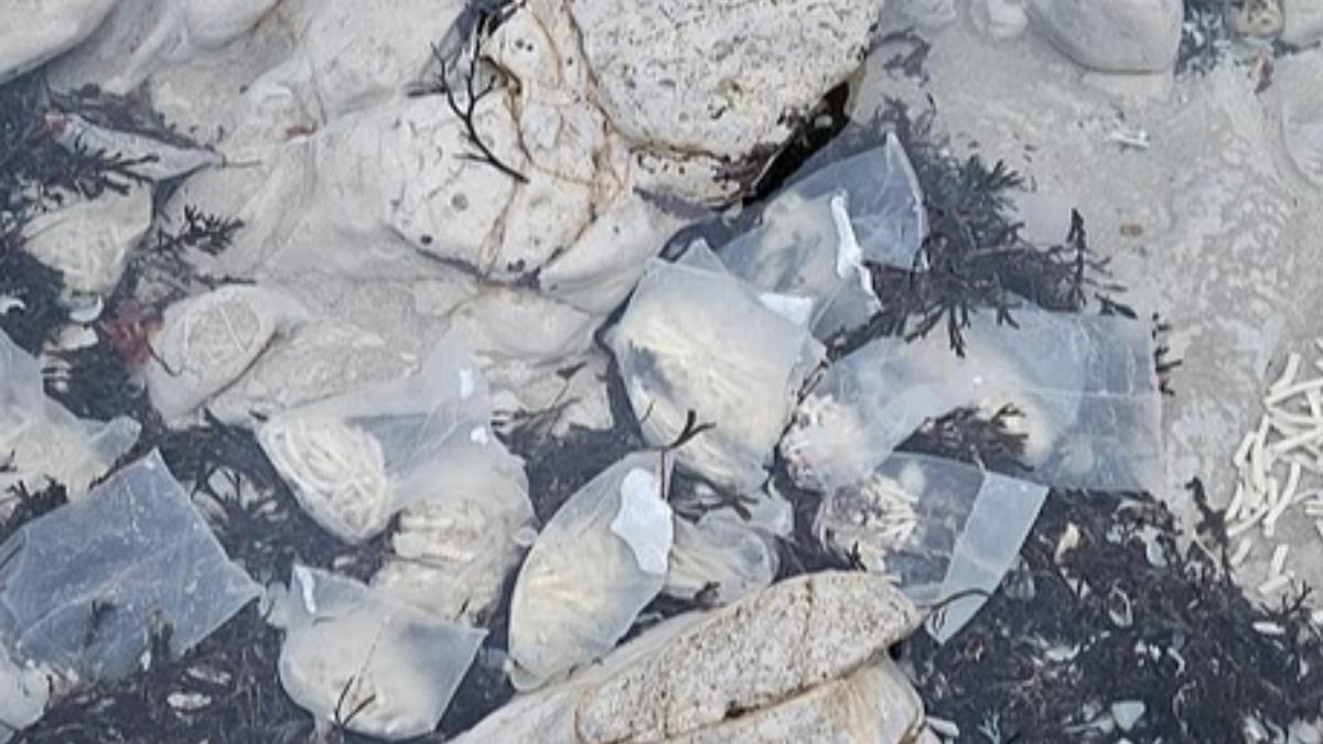 強風吹落20貨櫃！英海灘驚見「薯條海」 堆疊達60公分│TVBS新聞網