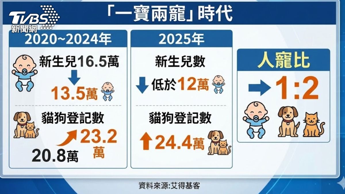台灣邁入「一寶兩寵」時代！ 新生兒數跌破11萬、不生小孩改養毛孩│TVBS新聞網