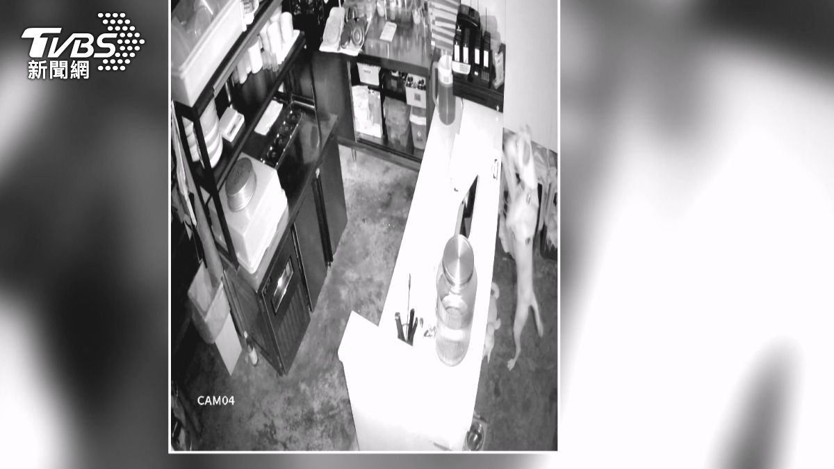 太過分～可愛！浪浪咬爛預約表 中途咖啡館PO慘片「急尋客」│TVBS新聞網