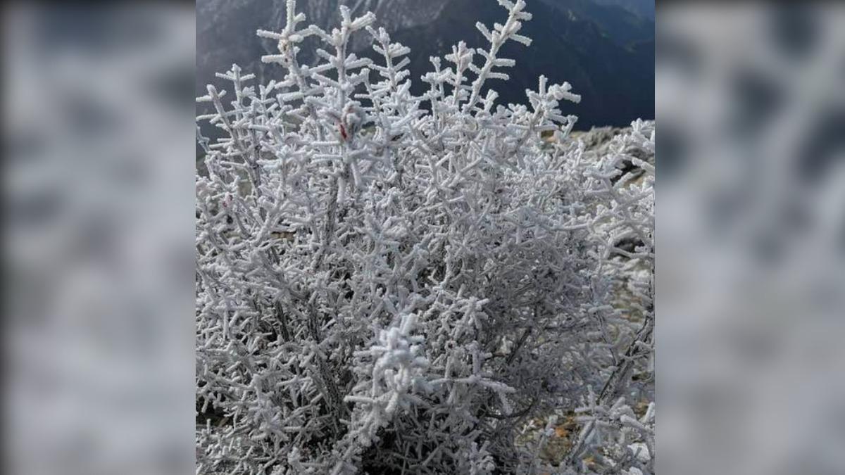 天氣／15縣市低溫特報！5地非常寒冷北北基入列 鄭明典曝霧淞美景│TVBS新聞網