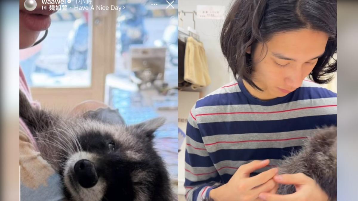 獨／Ian放假返台了！陪魏如萱7歲兒上街 真實互動全被拍│TVBS新聞網