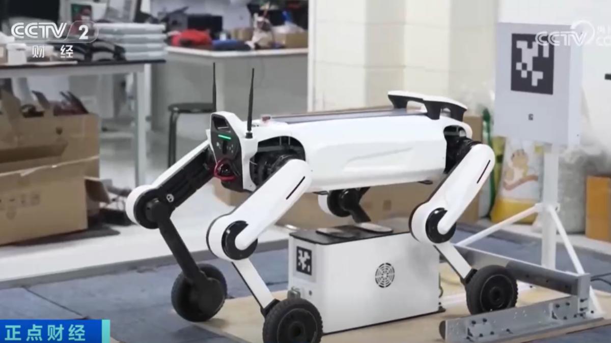 陸機器狗進化「自己回窩充電」免換電池 2026年價格將再降30%│TVBS新聞網