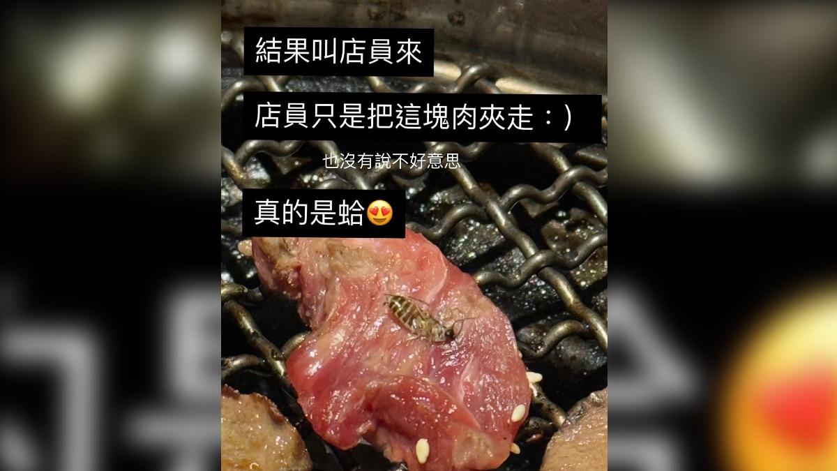 北市吃到飽驚現「火烤肉片蟑螂」 店家道歉：食安問題責無旁貸│TVBS新聞網