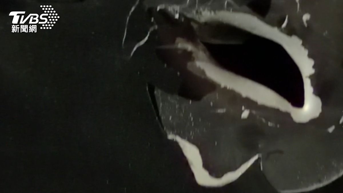 高雄男拒檢遭開15槍！逃5小時落網 被開6張單最高噴7.5萬元│TVBS新聞網