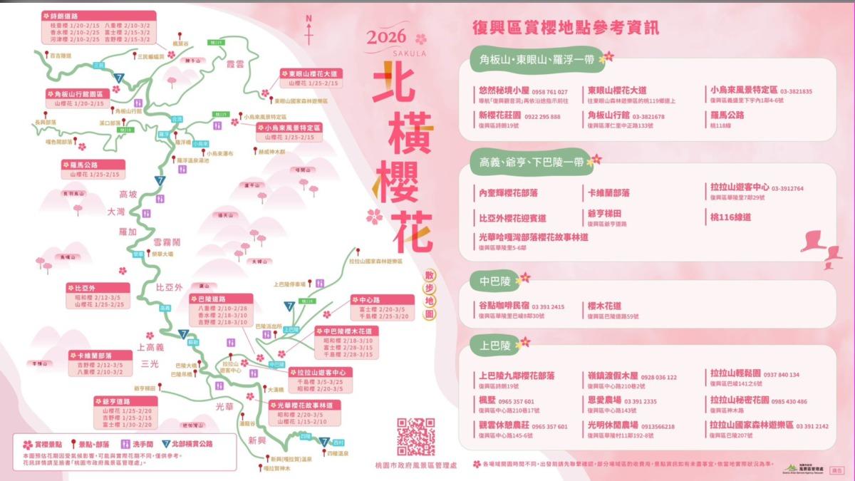 2026北橫櫻花季浪漫盛開！ 桃園賞櫻地圖發布 邀民上山感受粉色風暴│TVBS新聞網