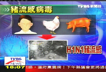 豬流感來勢洶 傳染力遠勝SARS│TVBS新聞網