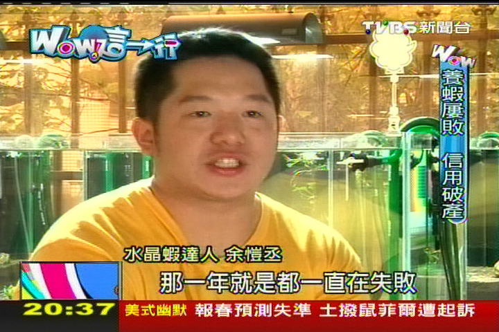 【Wow這一行】1隻蝦10萬！玩家變達人 水晶蝦冠全球│TVBS新聞網