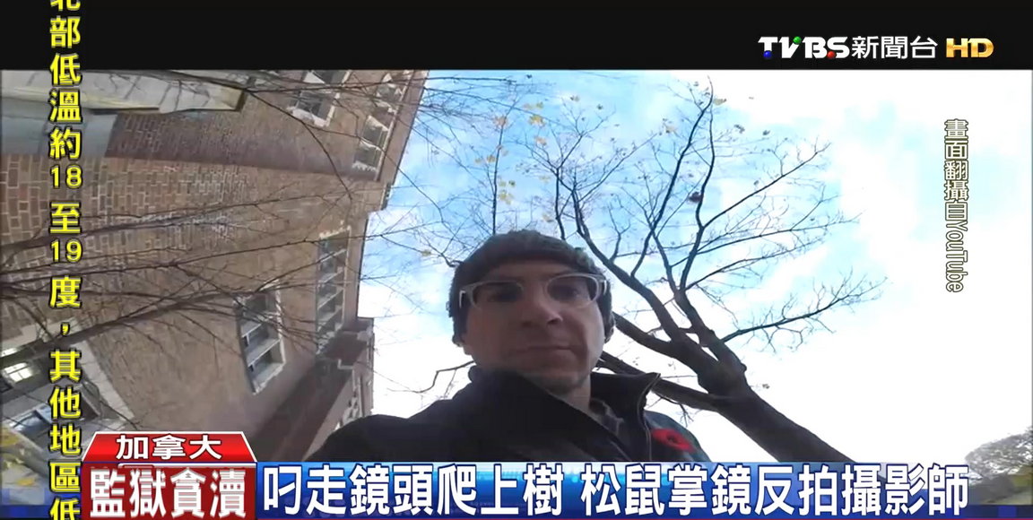 GoPro記錄松鼠舉動 攝影師意外成主角│TVBS新聞網