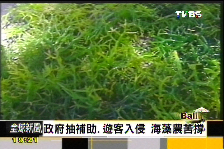 【FOCUS新聞】辦APEC揚眉吐氣！藍色經濟 印尼獨特│TVBS新聞網