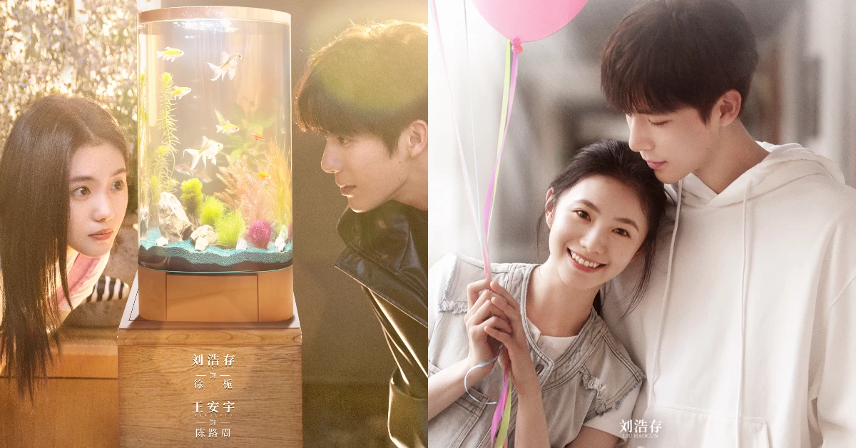 《陷入我們的熱戀》小說改編、劇情8亮點！劉浩存王安宇極限曖昧|女人我最大