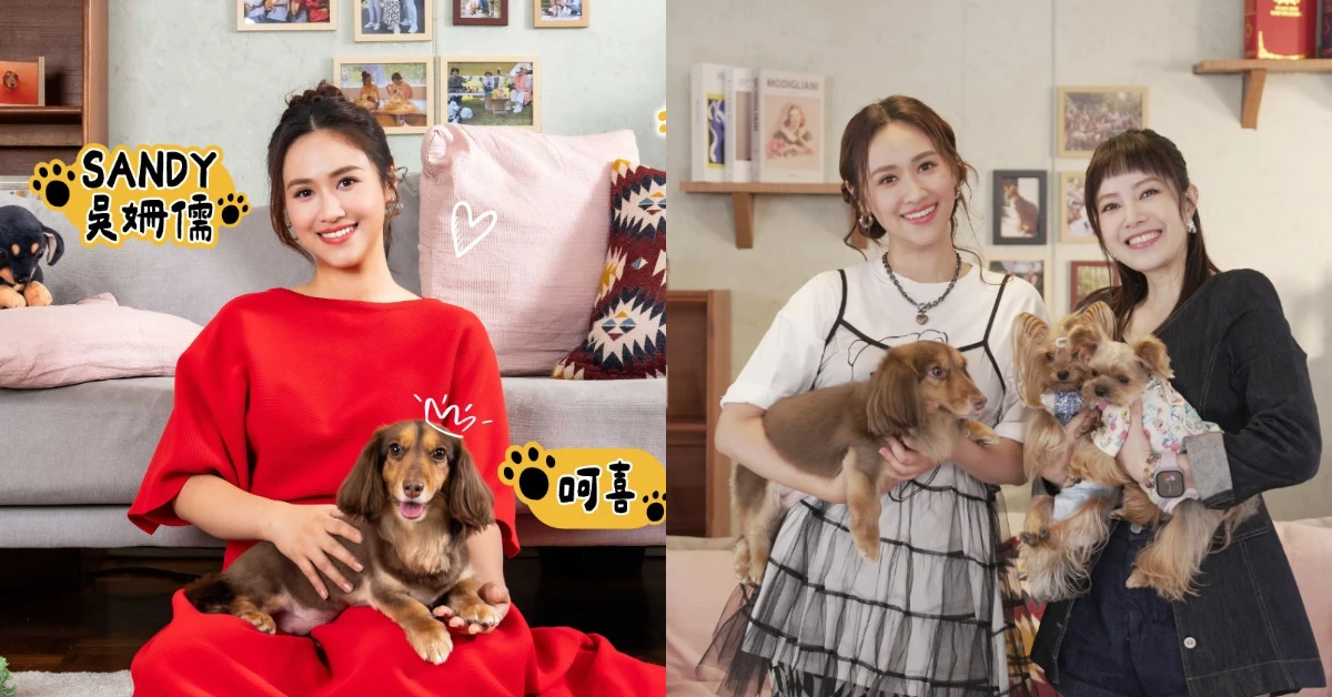 TVBS《萌寵明星粗乃玩》第五季全新回歸！Sandy錄影淚崩，徐懷鈺秀「超狂技能」反差感拉滿|女人我最大
